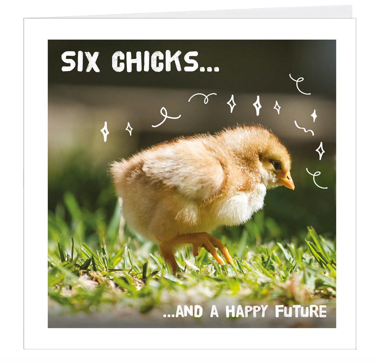 Six Chicks virtual gift for children in Tanzania – Railway Children